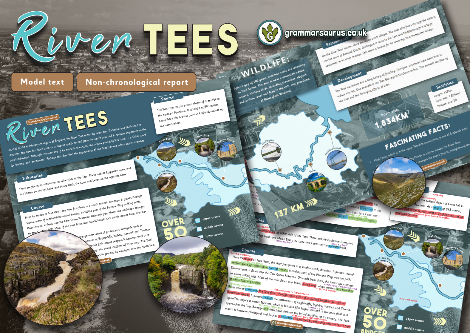 Year 5 Model Text – Non-chronological report – River Tees - Grammarsaurus