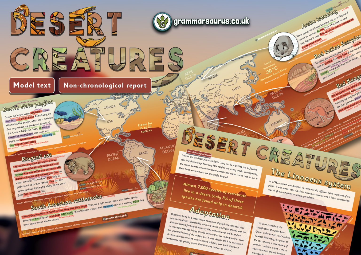 Year 5 Model Text – Non-chronological report - Desert Creatures - Grammarsaurus