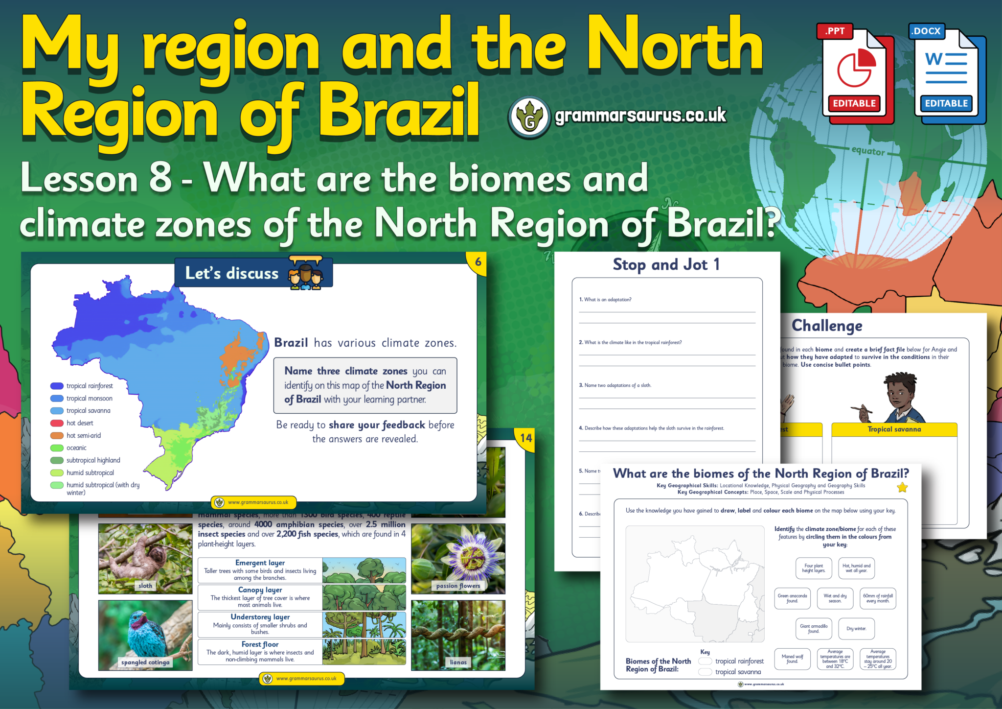 Year 5 Geography – My Region and the North Region of Brazil – What are ...
