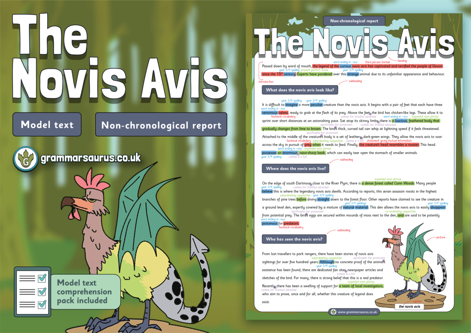 Year 4 Model Text – Non-chronological report – The Novis Avis - Grammarsaurus
