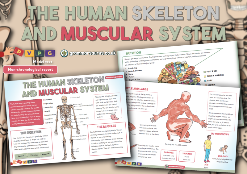 Y3 PVPG Texts - Grammarsaurus