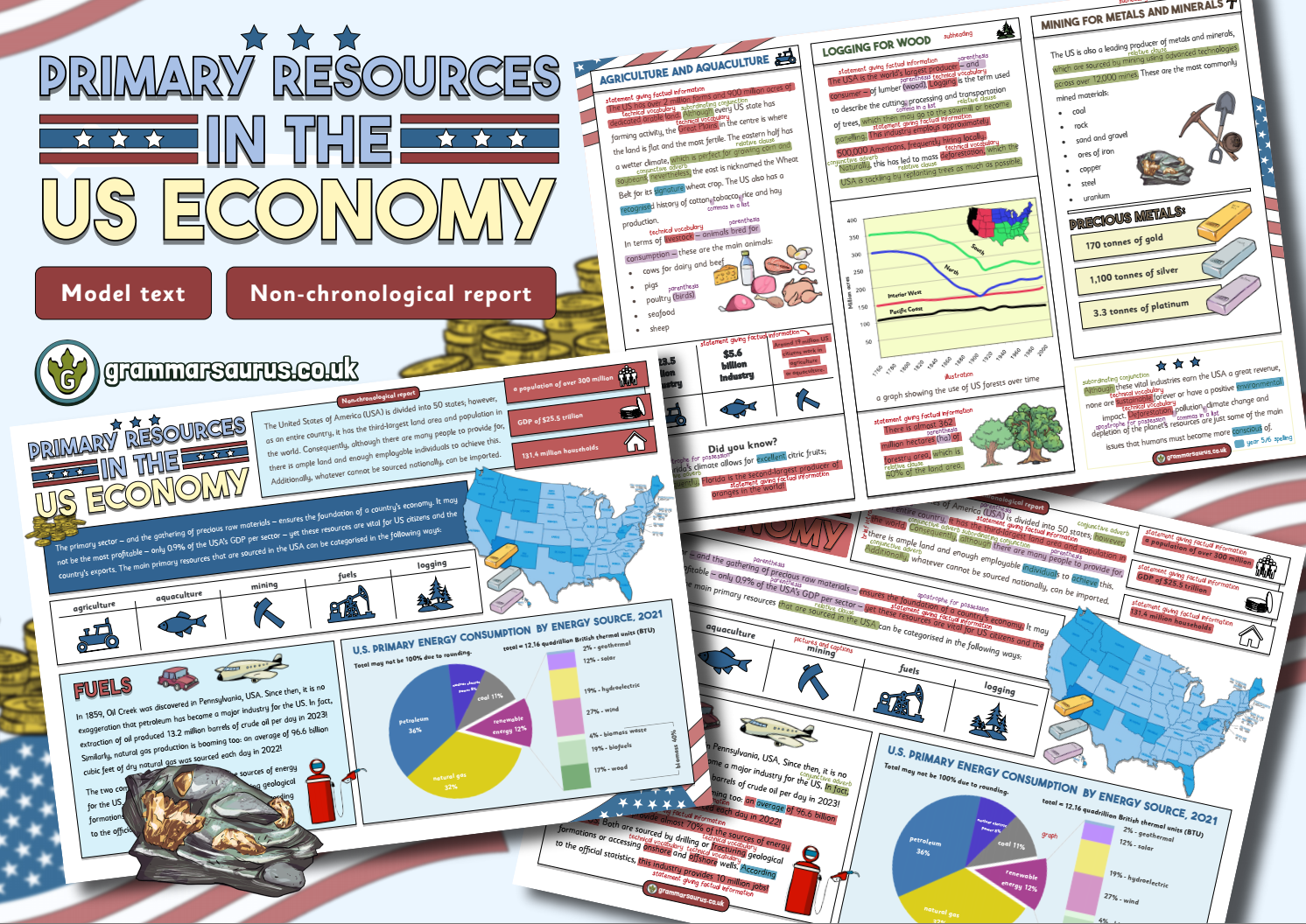 Year 5 Model Text – Non-chronological report - Primary resources in the ...