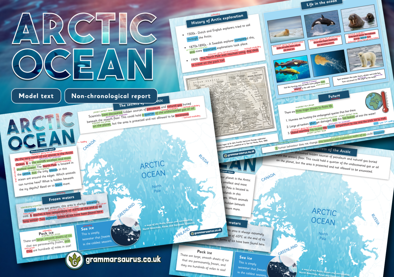 Year 3 Model Text – Non-chronological report – Arctic Ocean - Grammarsaurus