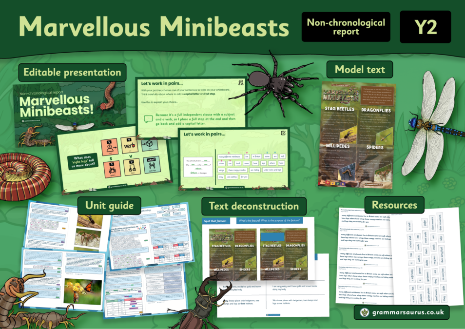 Year 2 PVPG Application Unit Guide – Non-chronological report ...