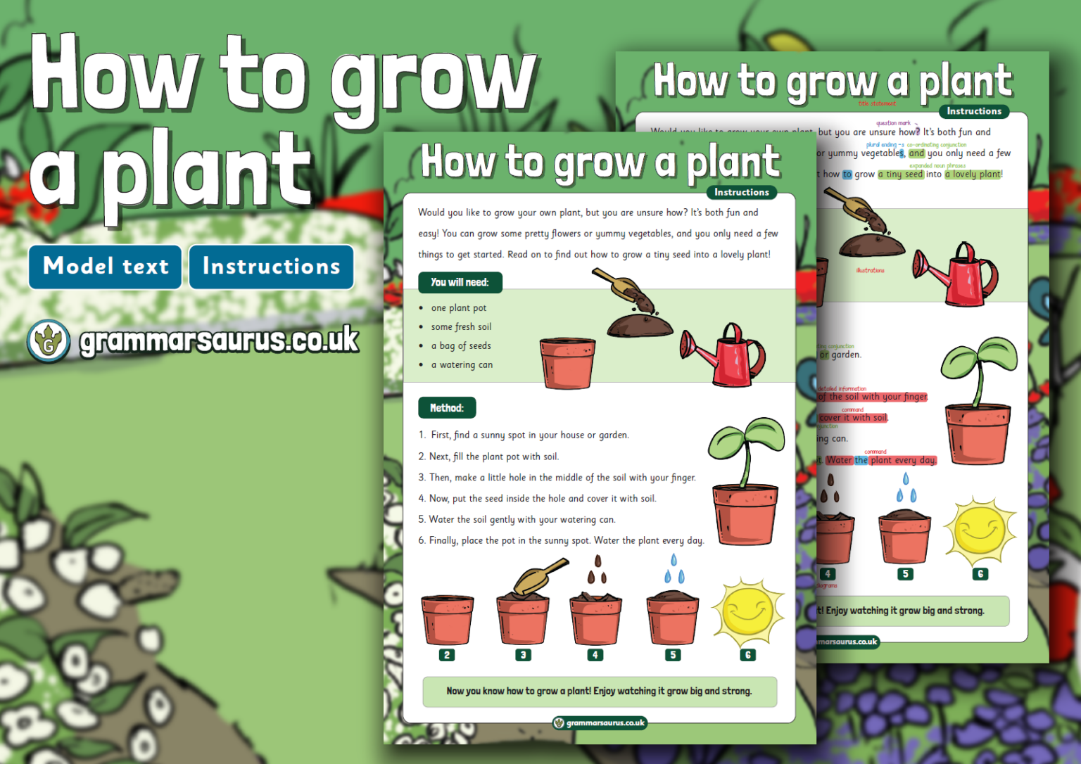 Year 1 Model Text – Instructions – How to grow a plant - Grammarsaurus