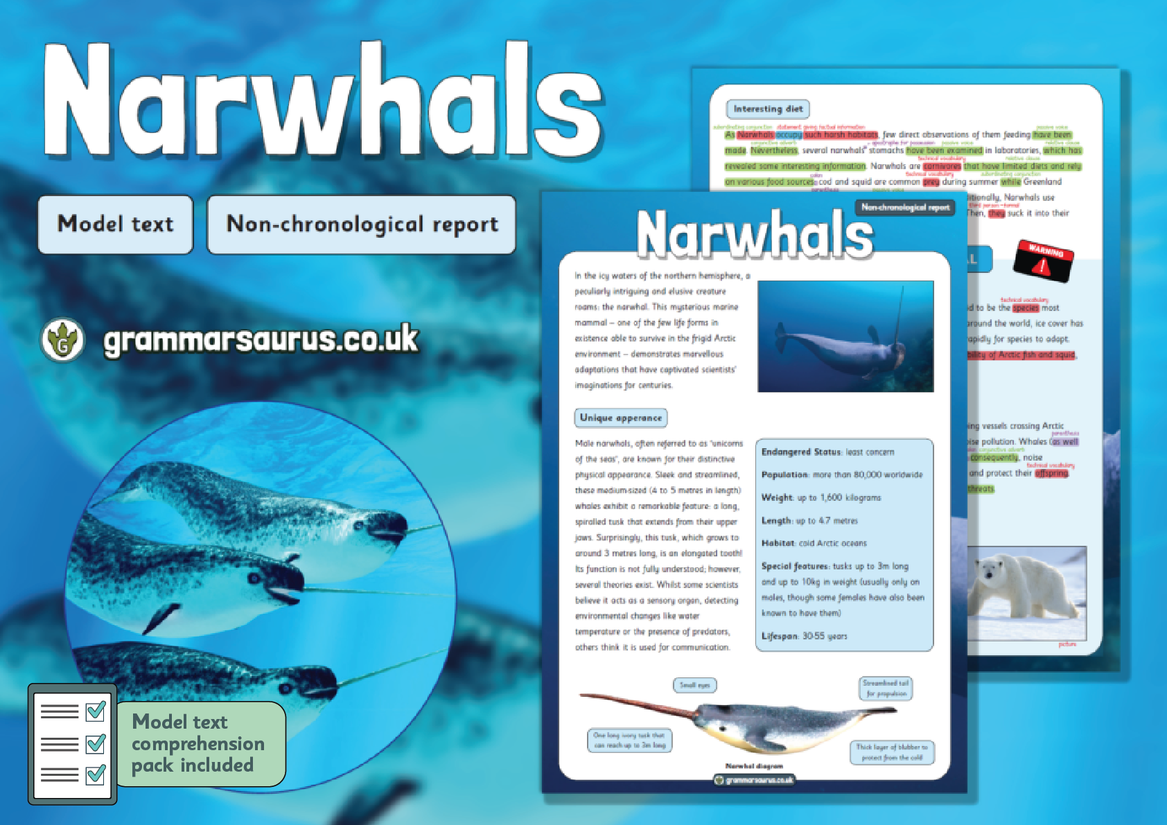 Year 5 Model Text – Non-chronological report – Narwhals - Grammarsaurus