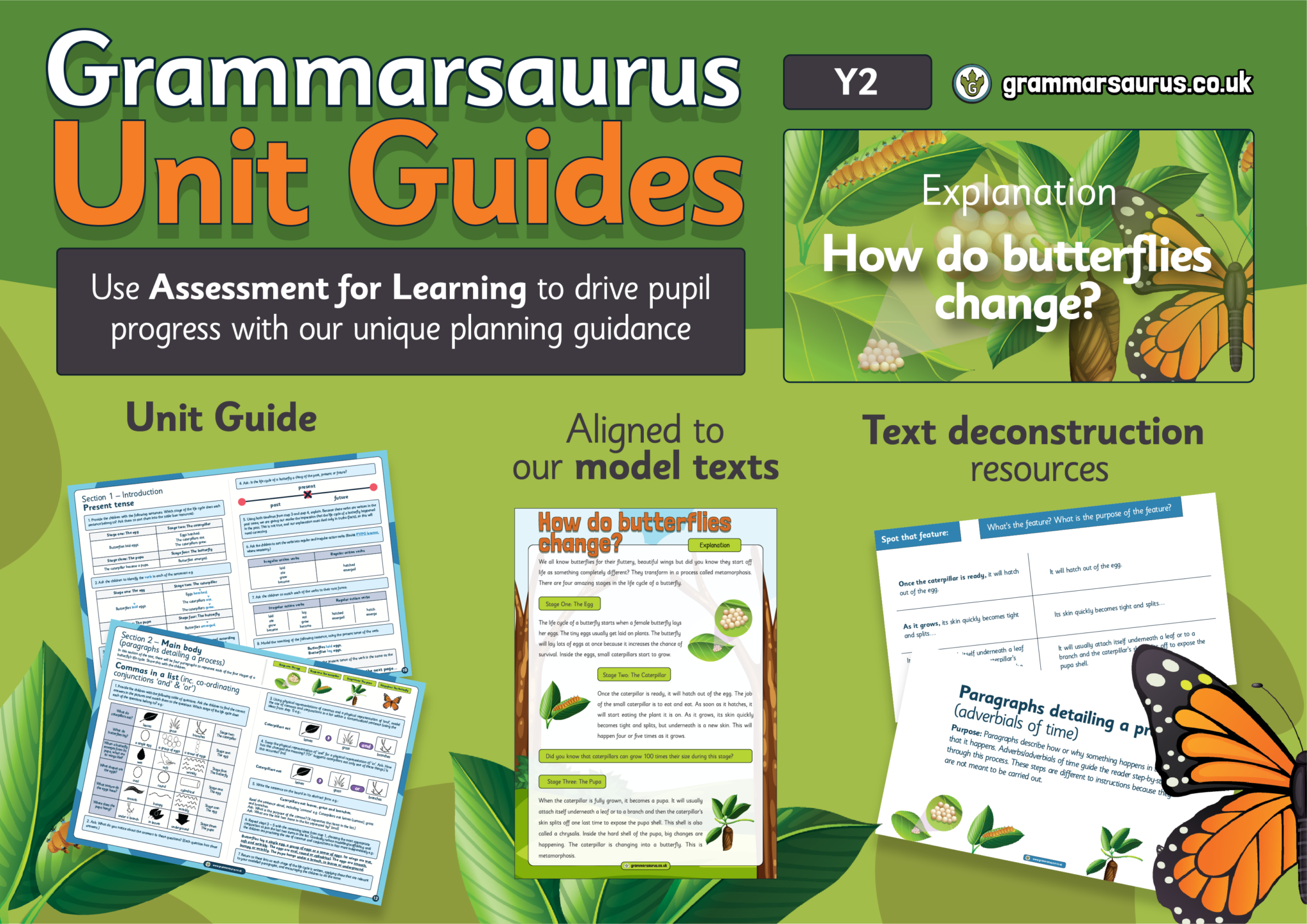 Year 2 Unit Guide – Explanation - How do butterflies change ...
