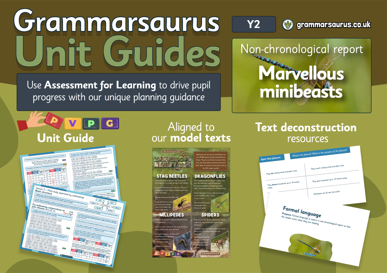 Year 2 Unit guide - Non-chronological report - Marvellous minibeasts ...