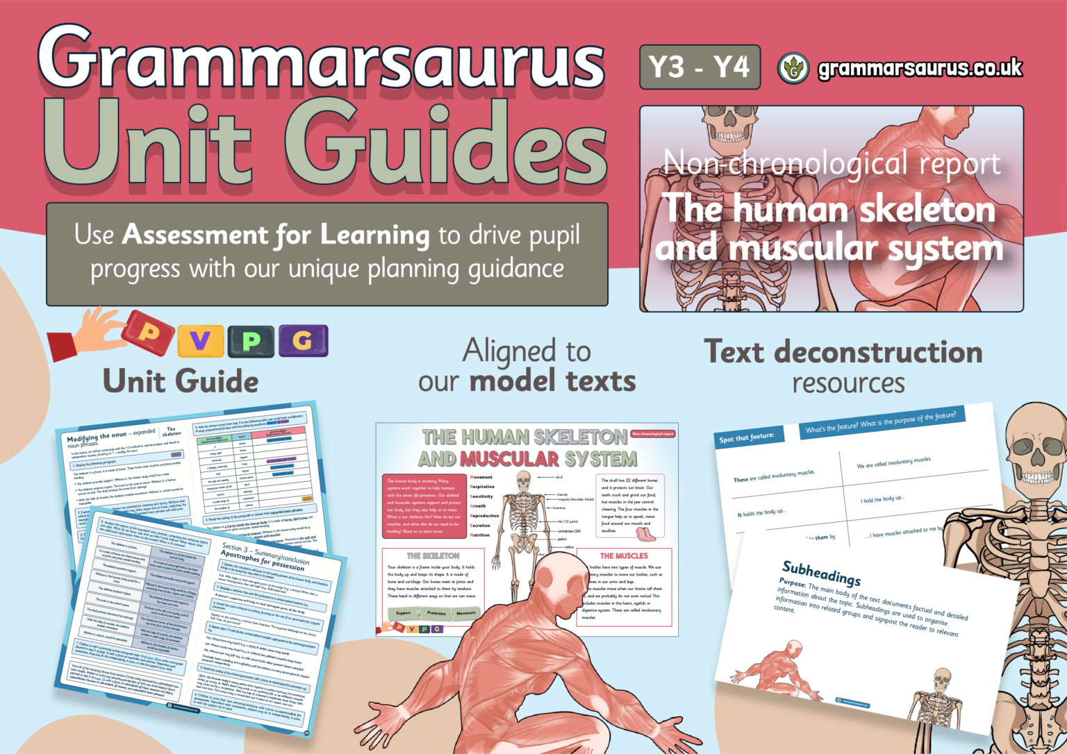 web ad - Grammarsaurus