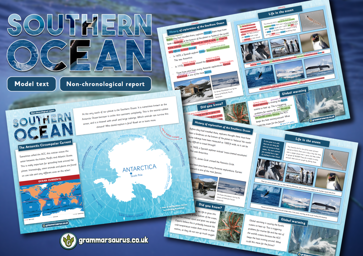 Year 3 Model Text – Non-chronological report – Southern Ocean ...
