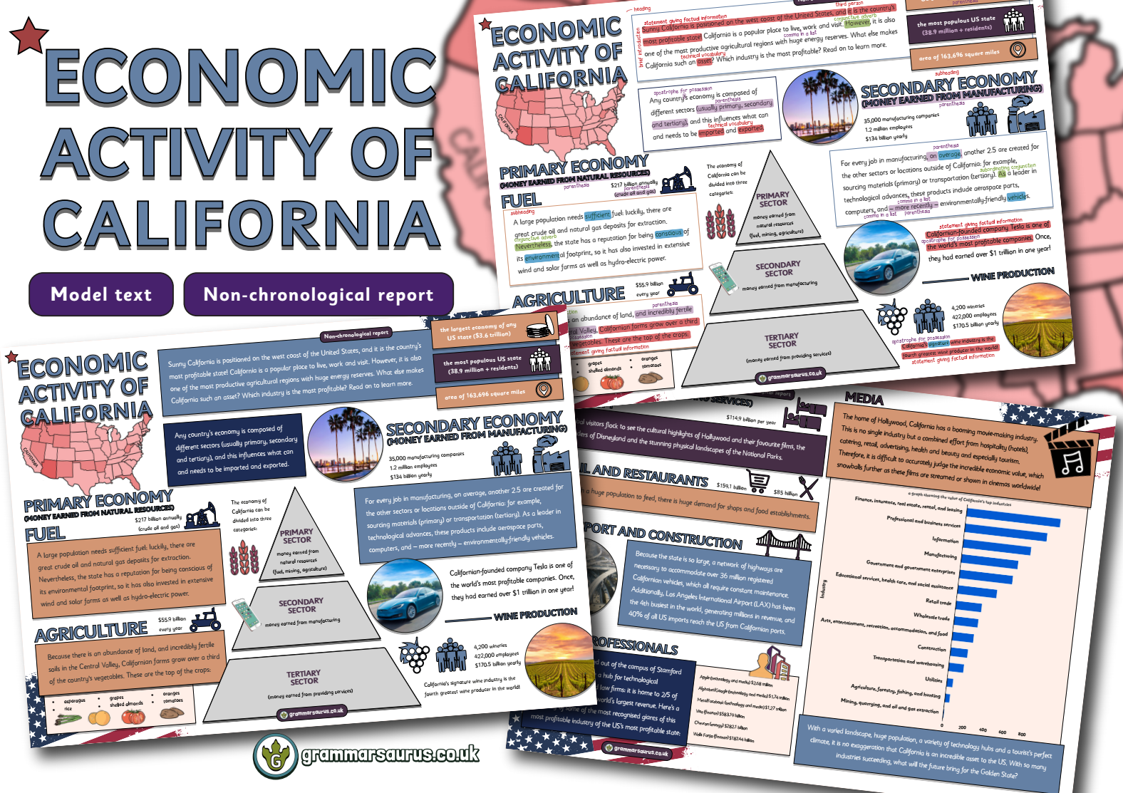 Year 5 Model Text – Non-chronological report - Economic activity of ...
