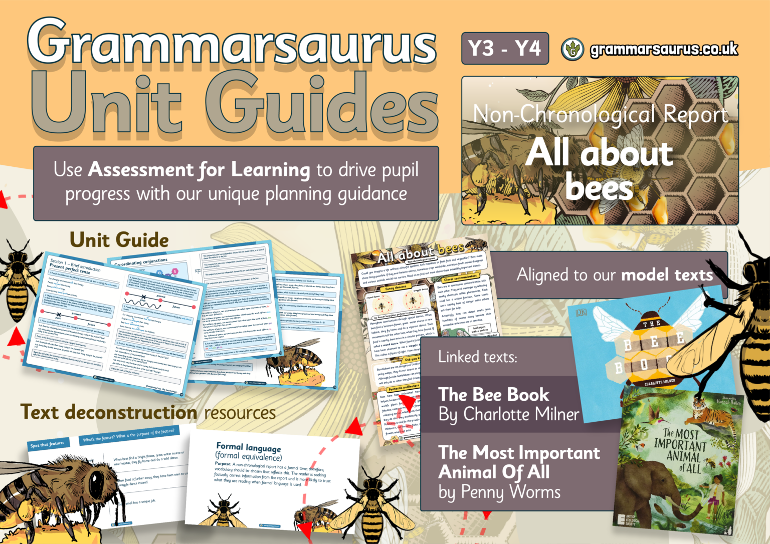 Year 3/4 Unit Guide – Non-chronological report – All about bees ...