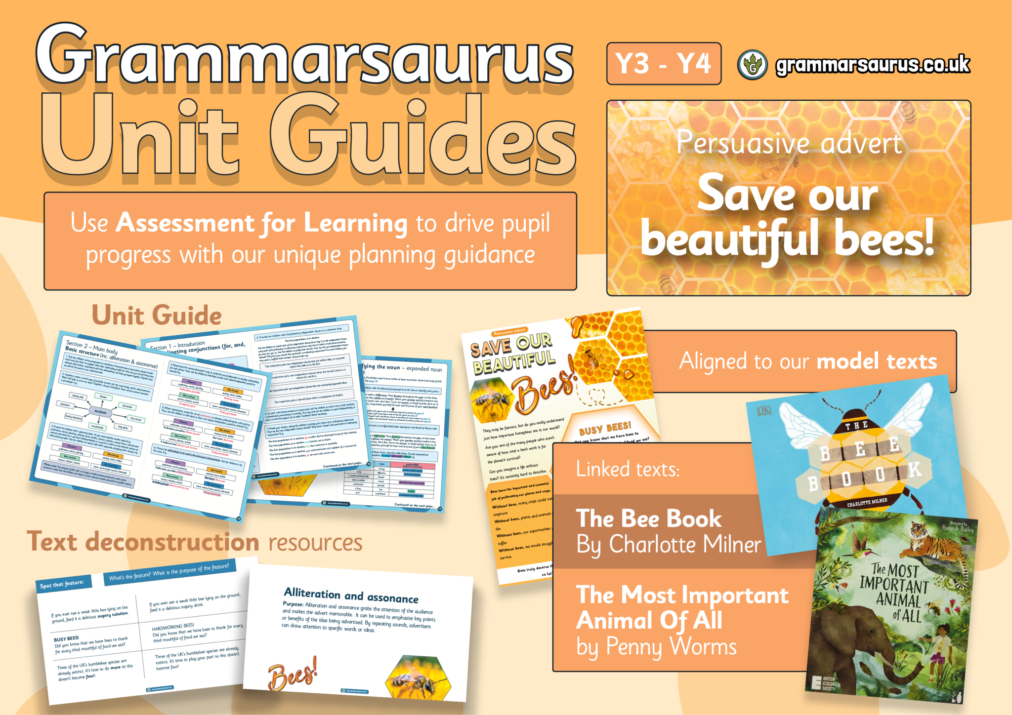 Year 3/4 Unit Guide – Persuasive advert pack – Save our beautiful bees ...