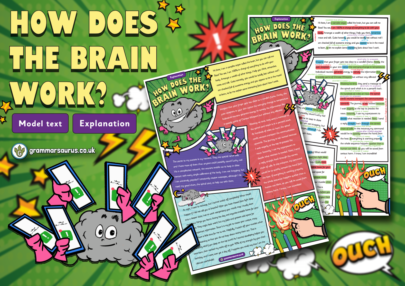 Year 4 Model Text – Explanation - How does the brain work? - Grammarsaurus