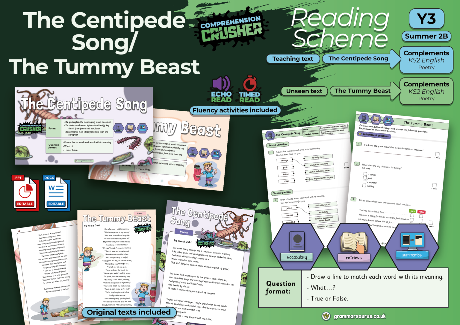 Year 3 Comprehension Crusher Reading Scheme – Summer 2b – The centipede ...