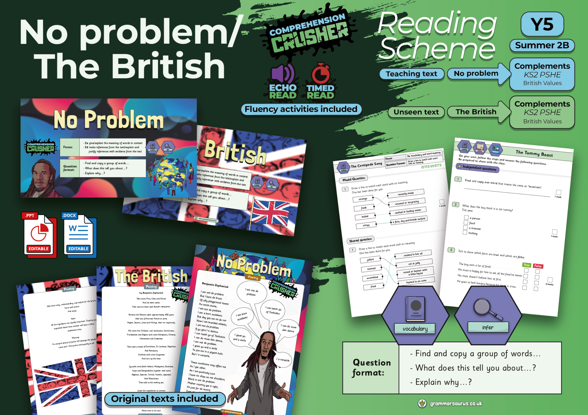 Year 5 Comprehension Crusher Reading Scheme – Summer 2b – No problem ...