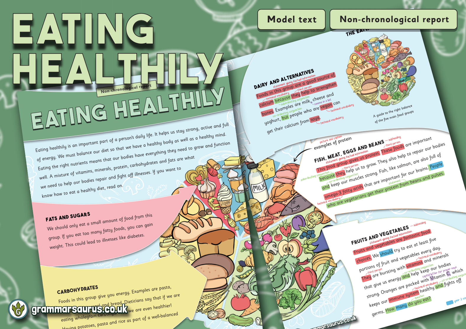 Year 2 Model Text Non Chronological Report Eating Healthily Grammarsaurus