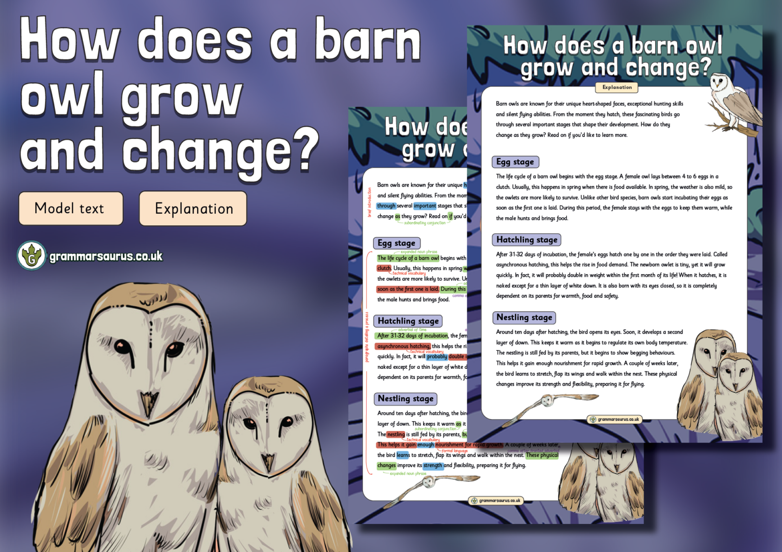 Y6 SATs Smasher (Maths): Mini reasoning tests - Algebra - Grammarsaurus