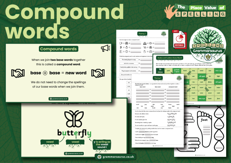 Y3 Objective 2 (Compound words) - Grammarsaurus
