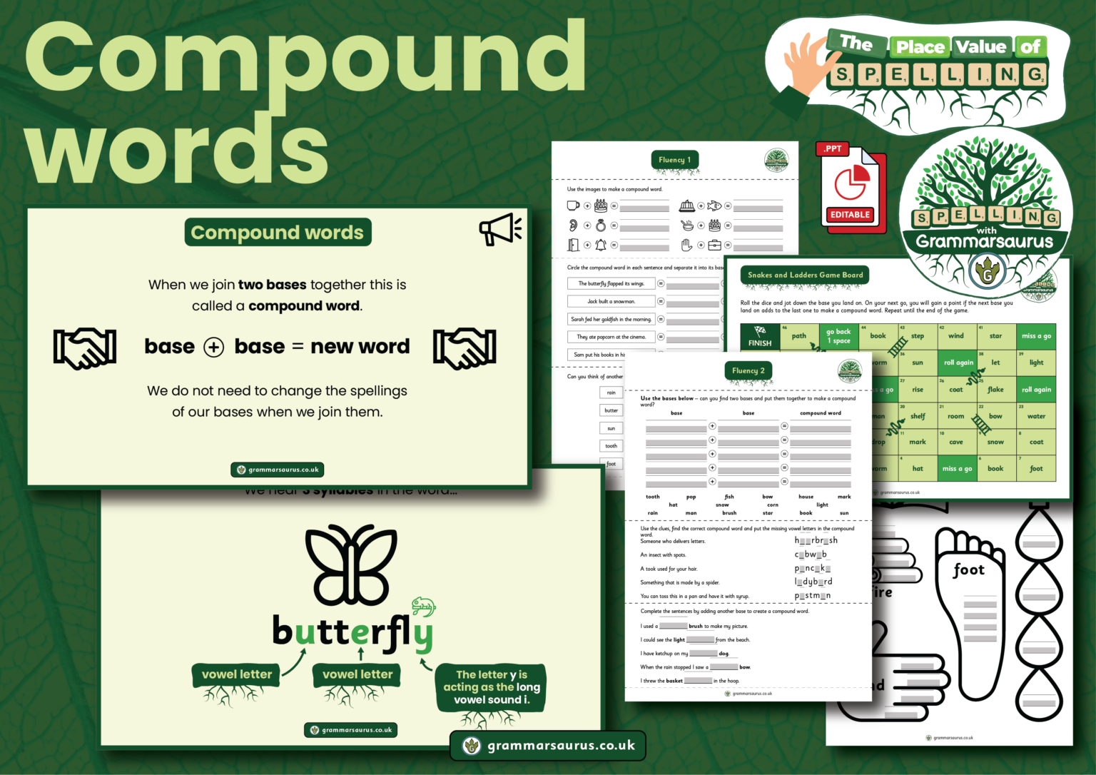 Y2 Objective 2 - (Compound words) - Grammarsaurus