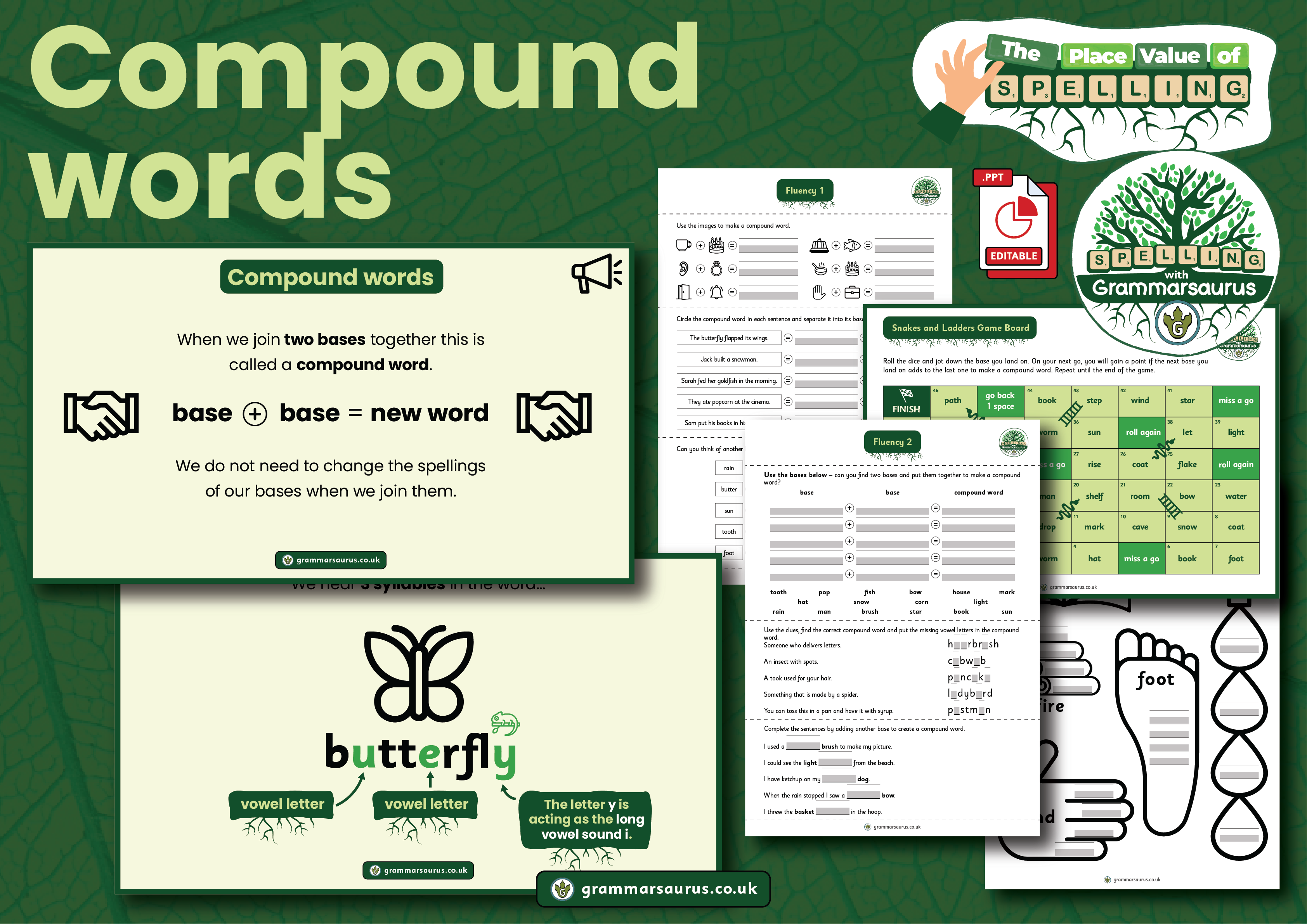 Y2 Objective 2 - (Compound words) - Grammarsaurus