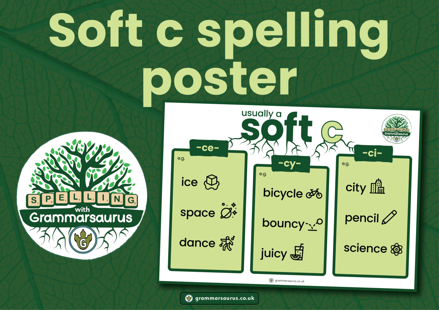 Soft c spelling poster - Grammarsaurus