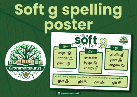 Soft g spelling poster - Grammarsaurus