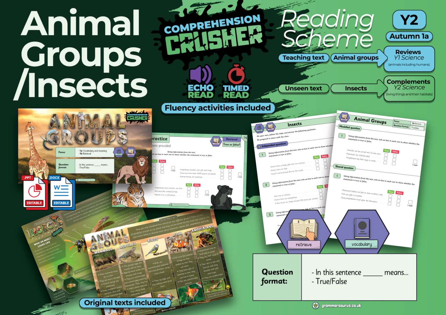 Year 2 Comprehension Crusher Reading Scheme - Autumn 1a - Animal Groups ...