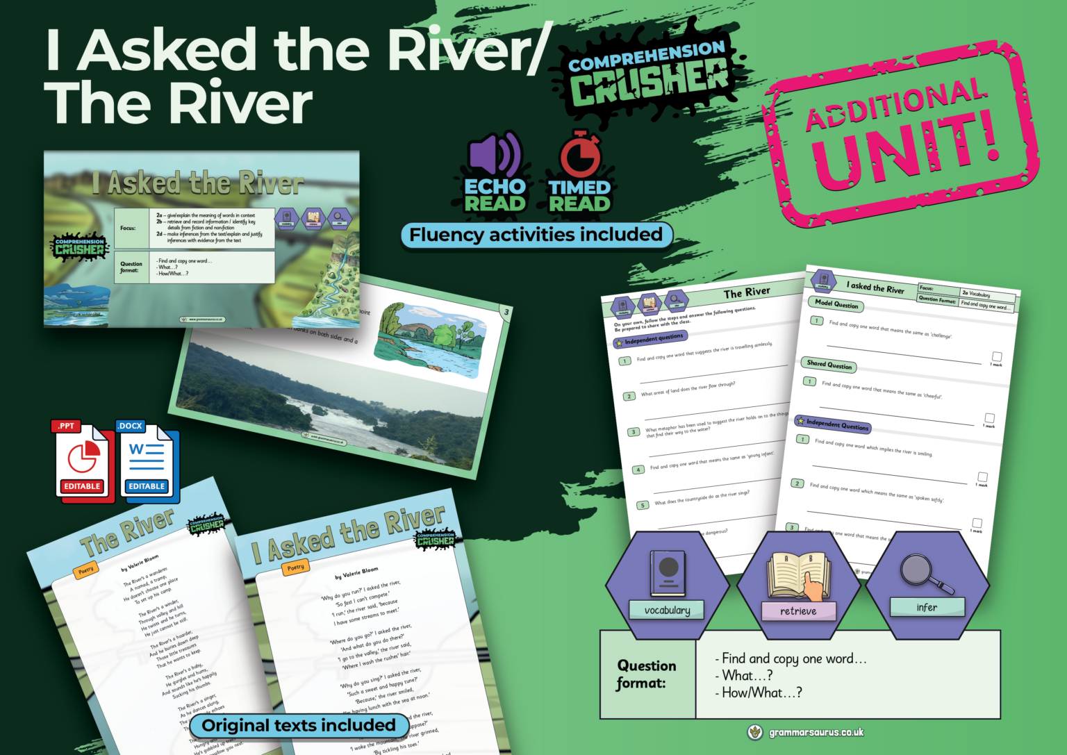 Year 5 Comprehension Crusher Reading Scheme - Additional unit- I asked ...