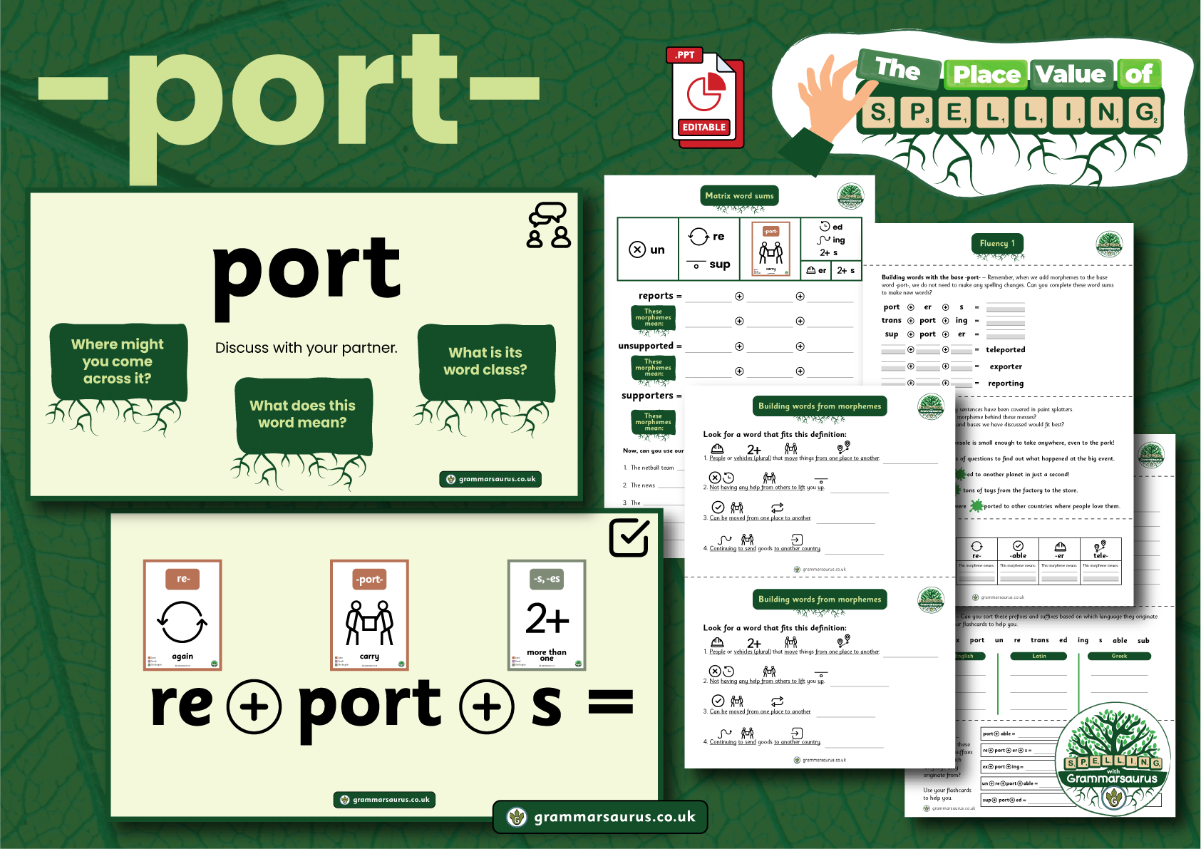 Ad 2 - Grammarsaurus