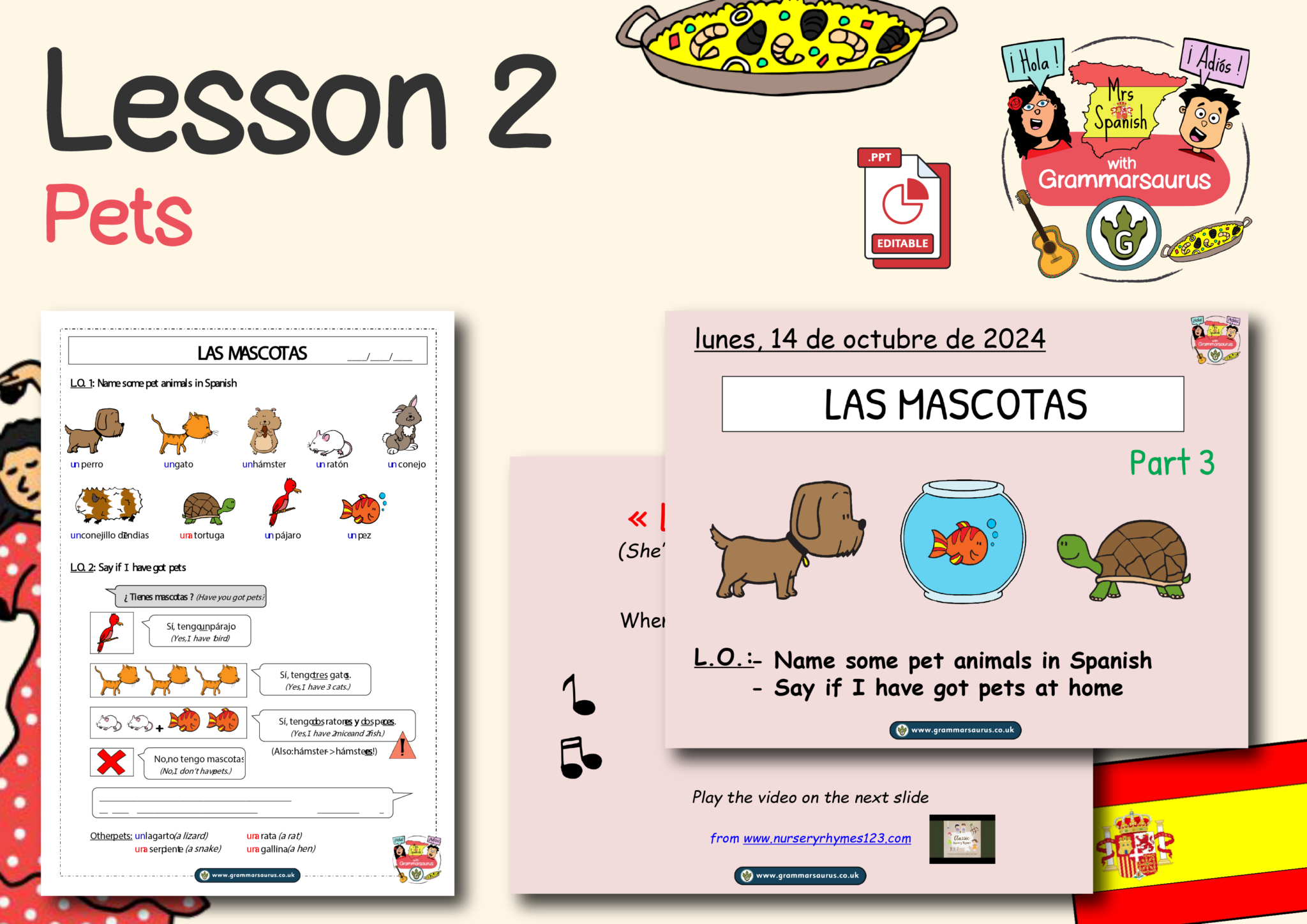 Year 4 - Pets - Lesson 2 - Grammarsaurus