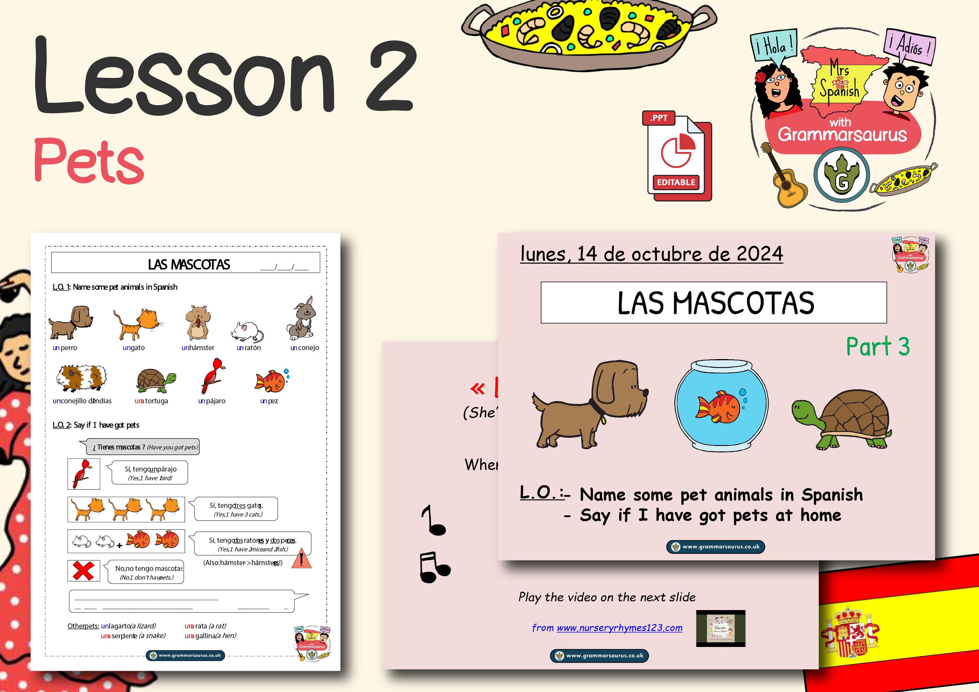 Year 4 - Pets - Lesson 2 - Grammarsaurus