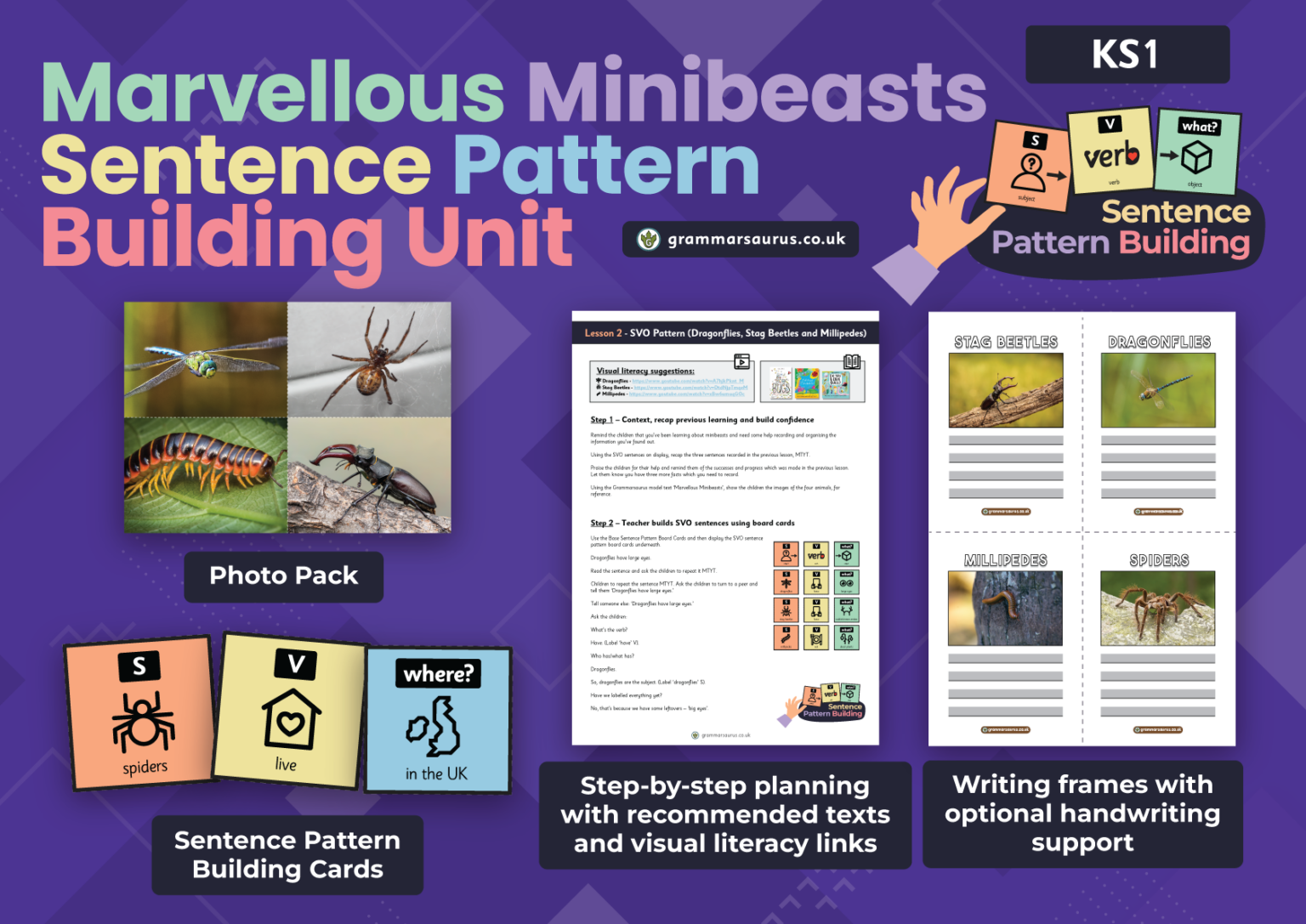 Marvellous Minibeasts (non-chron) Sentence Pattern Building Unit ...