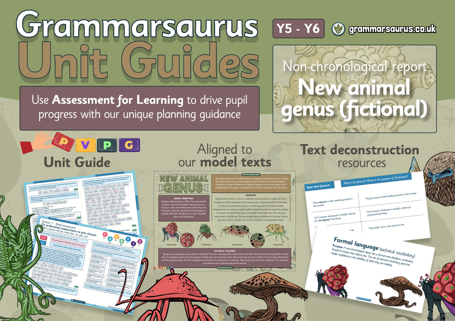 Year 5/6 PVPG Application Unit Guide - Non-chronological report – New ...