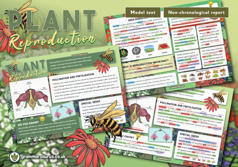 KS2 Model Texts - Grammarsaurus