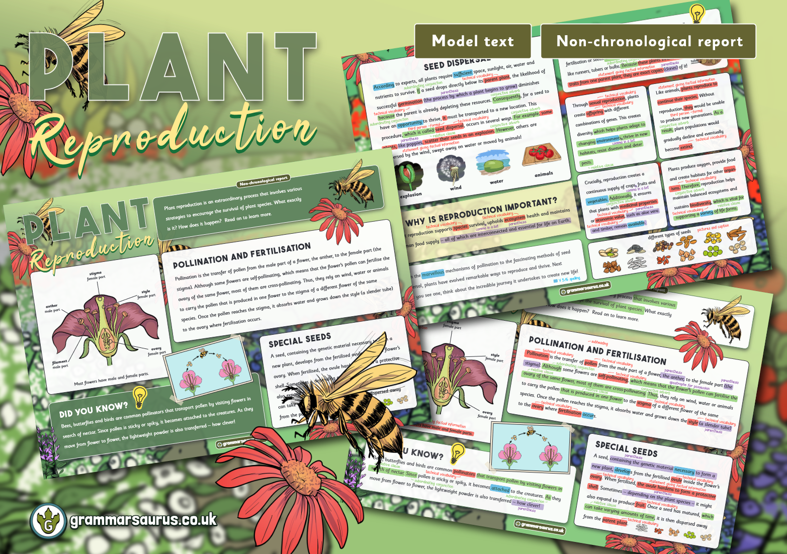 Year 5 Model Text – Non-chronological report - Plant Reproduction ...