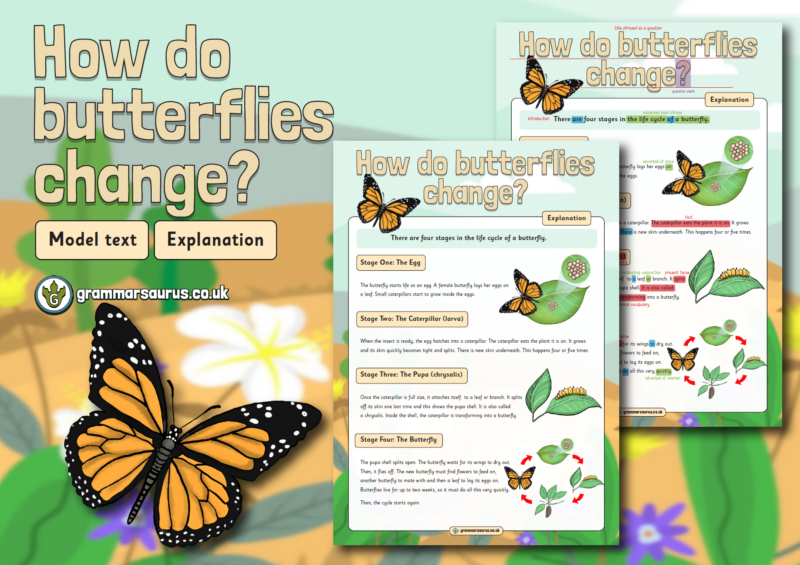 KS1 Model Texts - Grammarsaurus