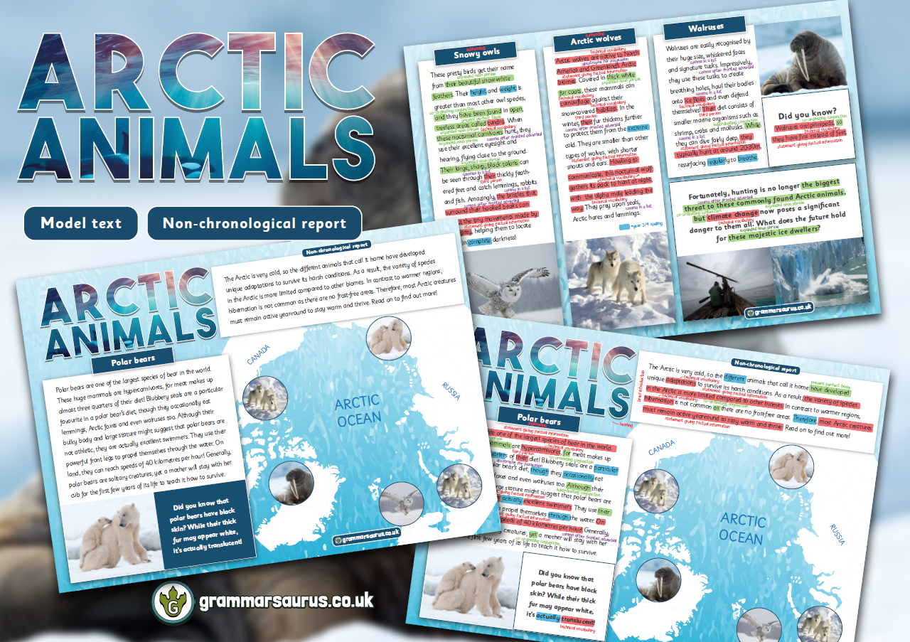 Year 4 Model Text - Non-chronological report - Arctic Animals ...