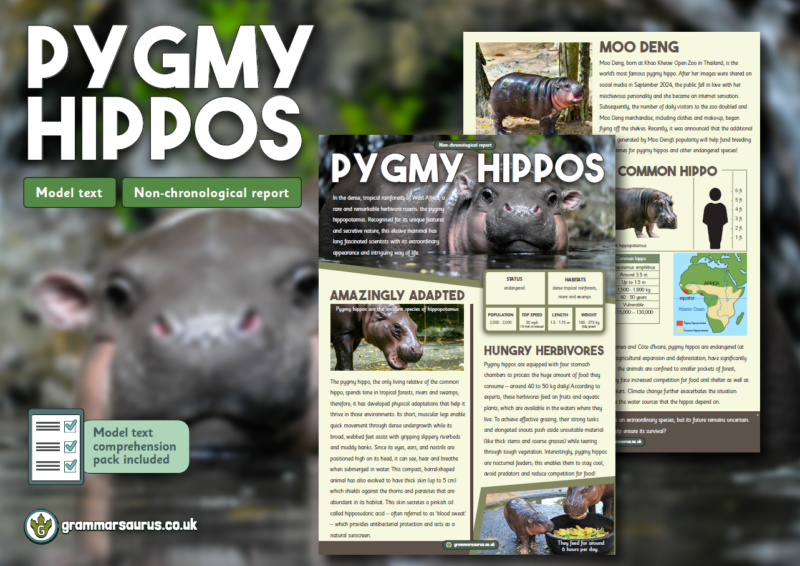 Year 6 Model Text – Non-chronological report – Pygmy Hippos - Grammarsaurus