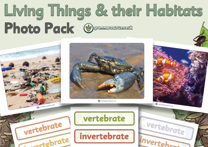 Year 4 Science - Living Things and their Habitats - Photo Pack - Grammarsaurus