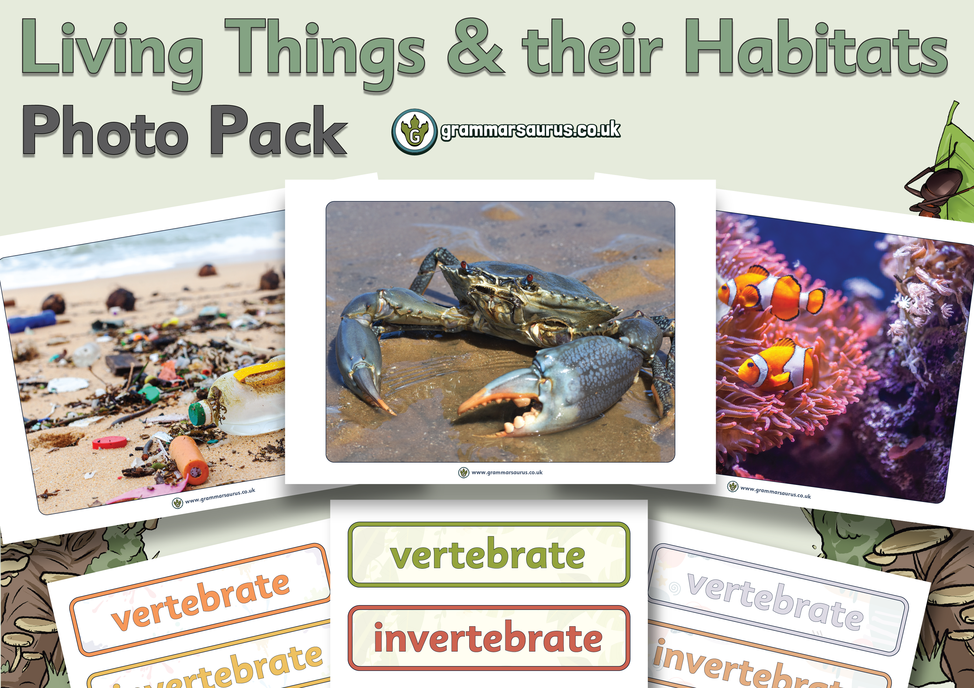 Year 4 Science - Living Things and their Habitats - Photo Pack ...