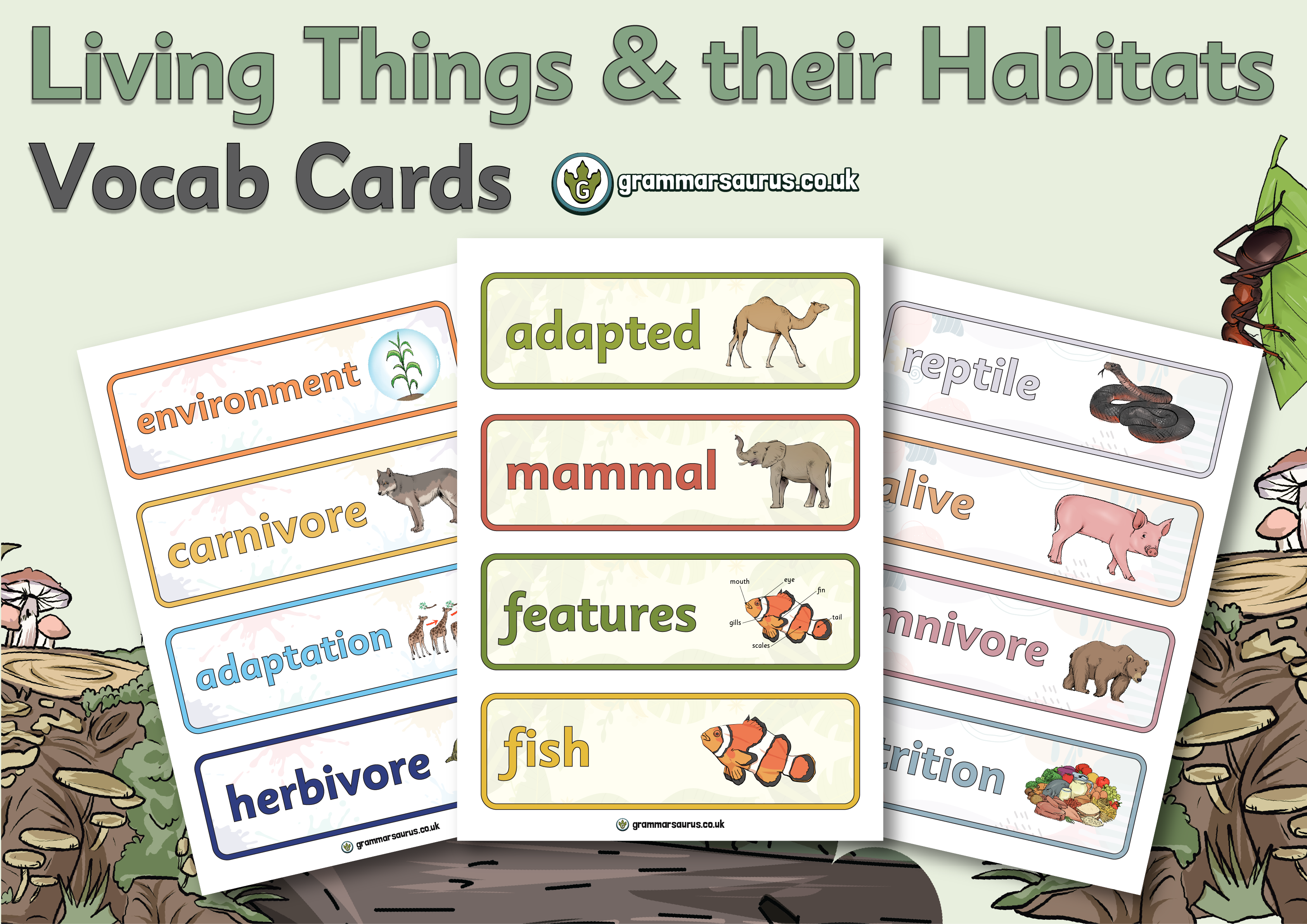 Year 4 Science - Living Things and their Habitats - Vocab Cards ...