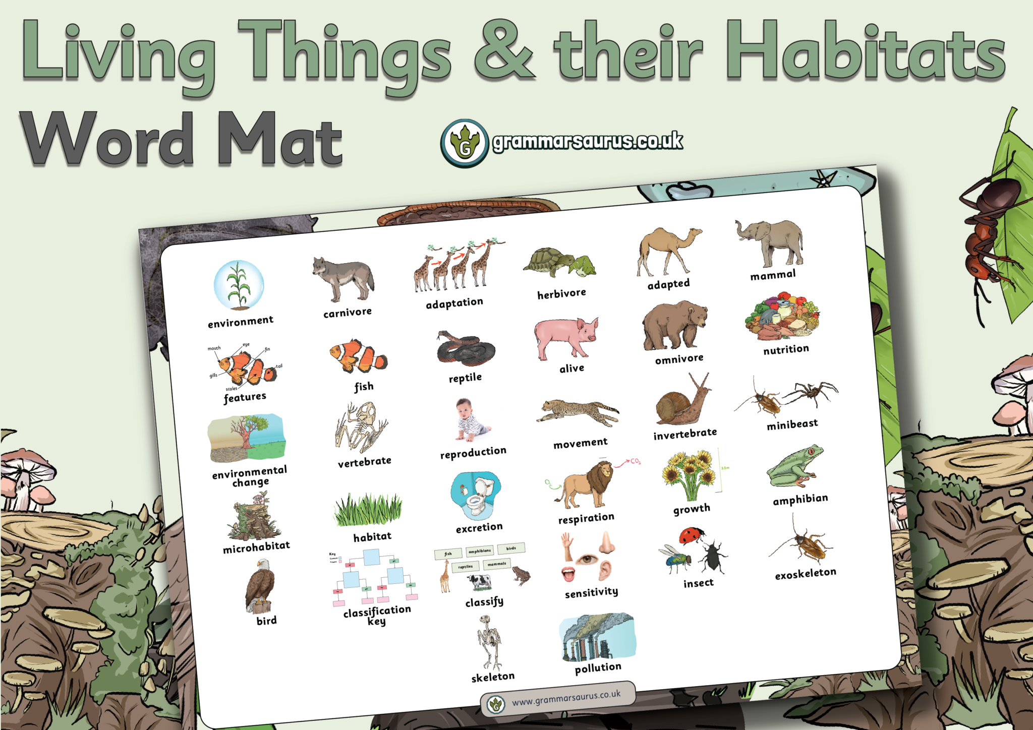 Year 4 Science - Living Things and their Habitats - Word Mat ...