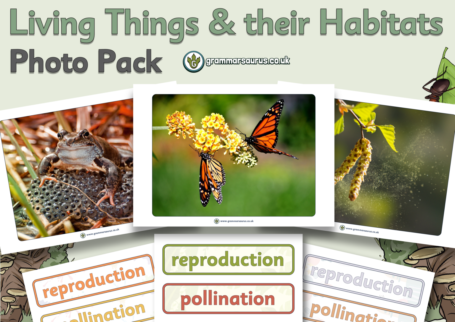 Year 5 - Living Things and their Habitats - Photo Pack - Grammarsaurus