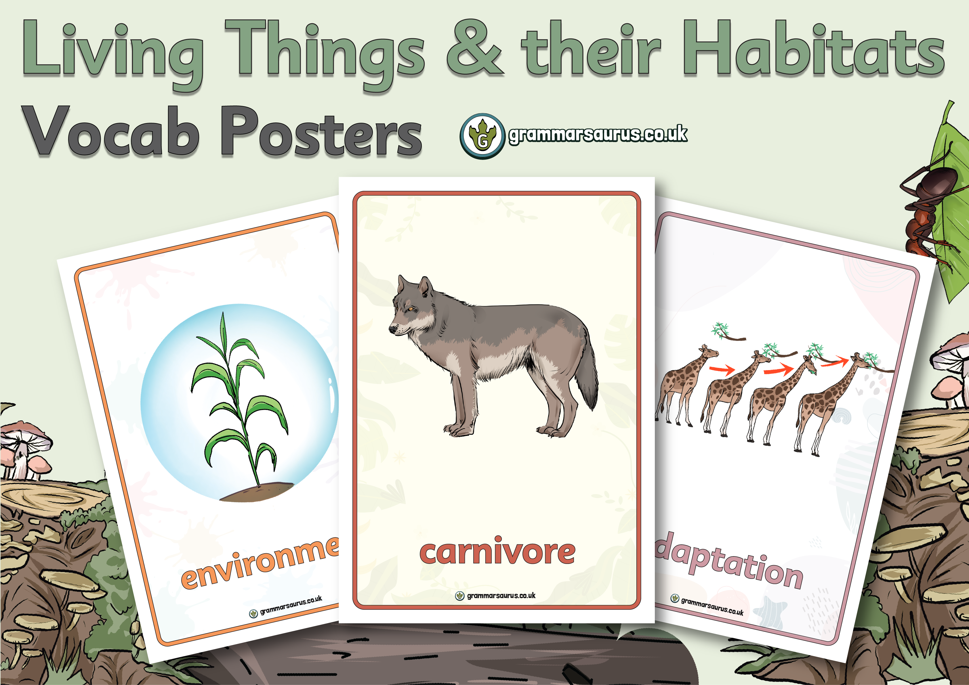 Year 4 Science - Living Things and their Habitats - Vocab Posters ...