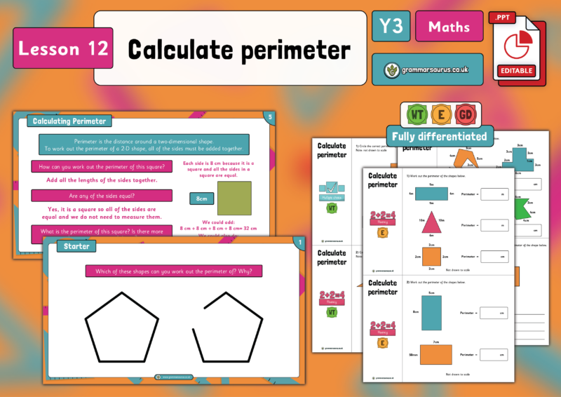 Year 3 Length and Perimeter - Calculate perimeter - Lesson 12 ...
