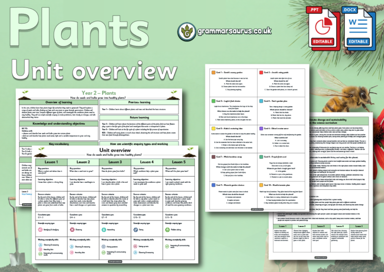 Year 2 Science - Plants - Unit overview - Grammarsaurus