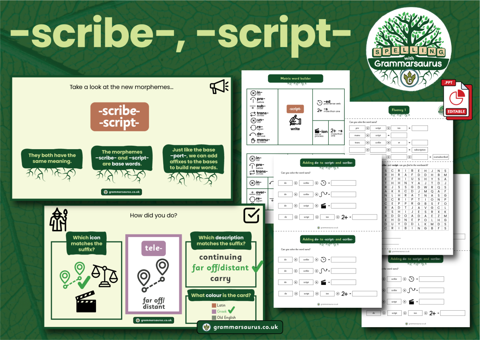 Y3 objective 11 (-scribe-, -script-) - Grammarsaurus