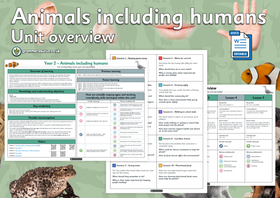 Year 2 Science - Animals including humans - Unit overview - Grammarsaurus