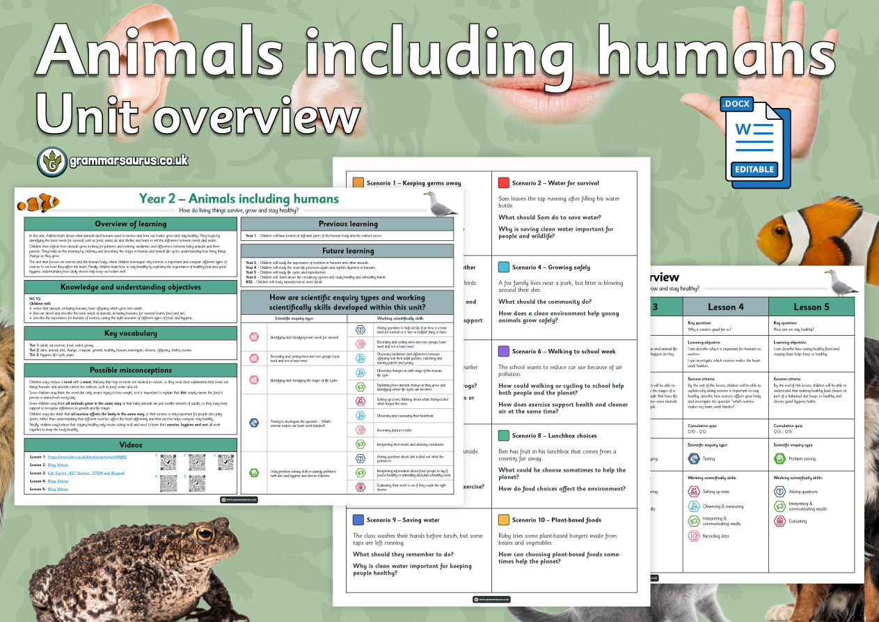 Year 2 Science - Animals including humans - Unit overview - Grammarsaurus